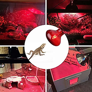 75W Infrared Reptile Heat Lamp Bulb, UVA Basking Spot Red Light Glass Heat Bulbs for Reptiles and Amphibian Use, Bearded Dragon, Turtle, Gecko, Snake, Lizard, Chameleon - 2 Pack