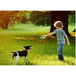 Dogs Long Time Playing Easier to Cleaning Teeth, Toy for Dogs Training and Playing,Nylon