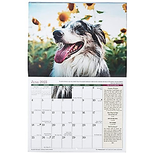 The 2023 Old Farmer’s Almanac Country Calendar