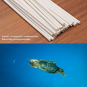 Biodegradable Bamboo Fiber Straws | 200 PCS 7.8'' Compostable Eco-Friendly Drinking Straws Disposable | Durable for Hot & Cold Drinks