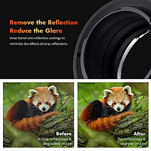 K&F Concept Lens Mount Adapter Compatible for Nikon G/F/AI/AIS/D/AF-S Mount Lens to Fujifilm Fuji X-Series X FX Mount Cameras with Matting Varnish Design for Fuji XT2 XT20 XE3 XT1 X-T2