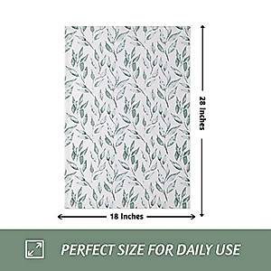 Folkulture Kitchen Towels with Hanging Loop, 18 x 28 Inches, Set of 3 Modern Tea Towels or Dish Towels for Drying Dishes, 100% Cotton Dishcloths or Hand Towels for Boho Décor, Absorbent (Misty Green)