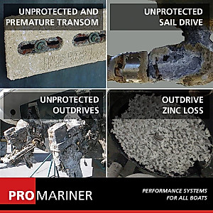 ProMariner 22034 ProSafe 30 Amp Galvanic Isolator, Silver