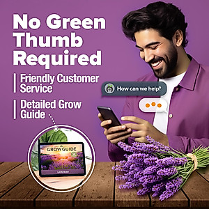 HOME GROWN Premium English Lavender Seeds, 1500 Non-GMO Herb Seeds, USA-Sourced Wildflower Seed for Planting Indoor/Outdoor, High Germination, Plant Flower Seeds