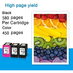 INCWOLF Remanufactured Ink Cartridge Replacement for hp 65XL Ink for Envy 5055 5052 5070 DeskJet 3755 2655 3720 3722 3723 3730 3732 3752 3758 2652 2624 Printer (2b1c)