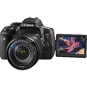 Canon T6i EOS Rebel DSLR Camera with EF-S 18-135mm f/3.5-5.6 is STM Lens + 16 GB Sunshine Basic Bundle