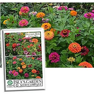 "Button Box Mix" Zinnia Seeds for Planting, 100+ Flower Seeds Per Packet, (Isla's Garden Seeds), Non GMO & Heirloom Seeds, Botanical Name: Zinnia elegans, Great Home Garden Gift