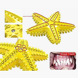 lifein Dog Chew Toy - Squeaky Toothbrush Durable Rubber Dog Toys for Teeth Cleaning, Tough Dog Toys for Aggressive Chewers Puppy/Medium/Large Dog Breeds Dental Care