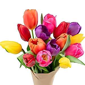 Stargazer Barn - Prime Overnight Delivery - The Happy Bouquet- Farm Fresh Colorful Tulips - Ship directly from our farm to your door, Red, Pink, Yellow, Purple, Orange