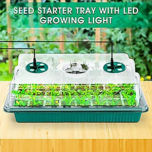 Yskea Seed Starter Kit with Grow Light, 80 Cells Seed Starter Tray with Light, Seedling Starter Trays with Vented Humidity Dome and Base, Indoor Gardening Plant Germination Kit, 2-Pack