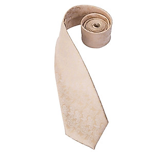 Hi-Tie Champagne Khaki Tie Paisley Silk Mens Neckties with Pocket Square Cufflinks for Wedding Business Party