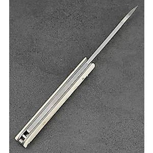 twosun Knives SLIP JOINT M390 Titanium Bone Handle Pocket Folder Knife TS197