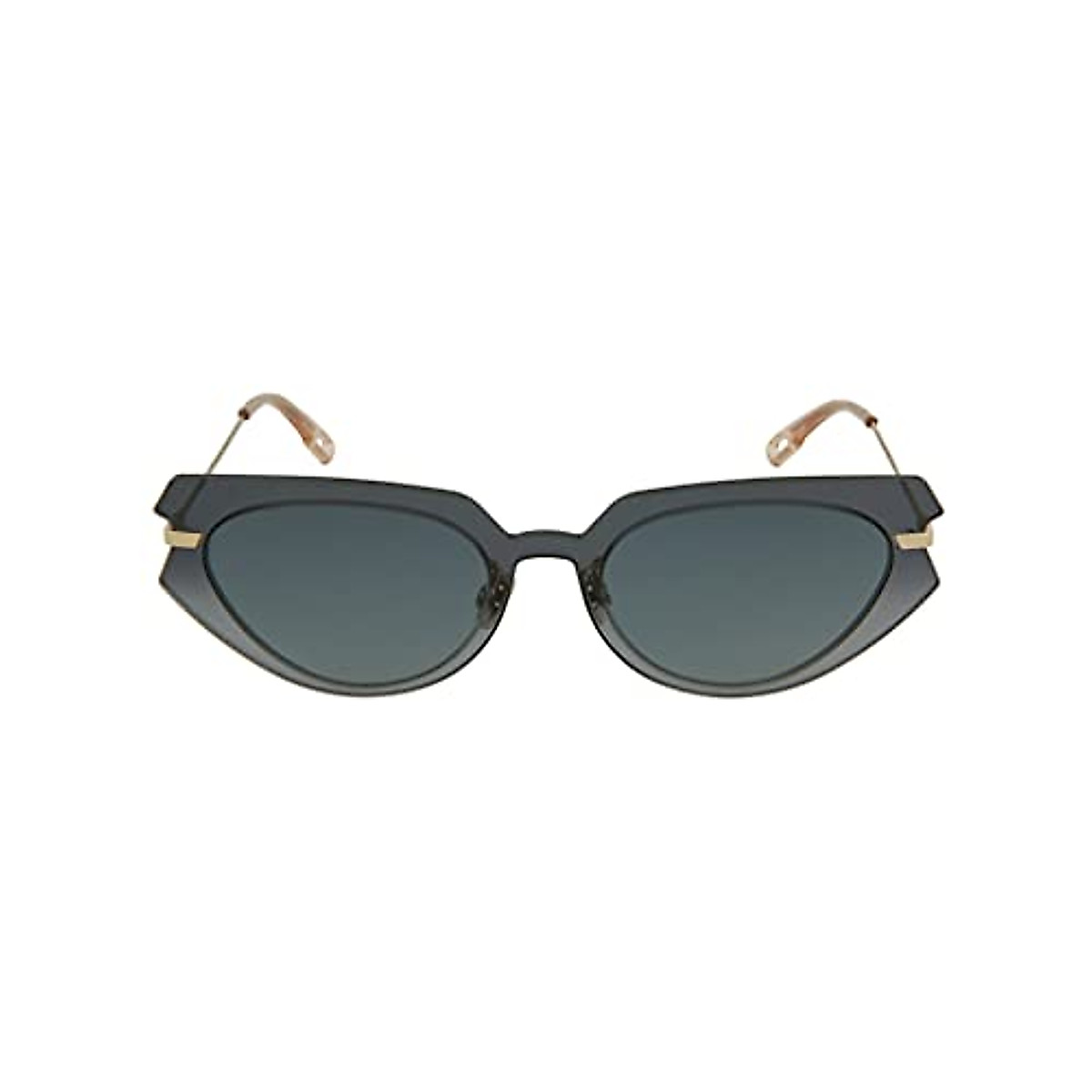 Dior - Attitude2 Shaded Grey Cat Eye Women Sunglasses - 53mm