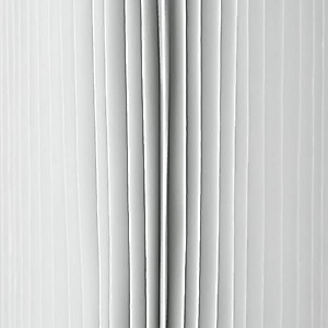 Intex 29005E Swimming Pool Filter Cartridge, Type B 6 Pack