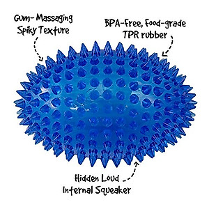 Gnawsome™ 4.5” Spiky Squeaker Football Dog Toy - Large, Cleans Teeth and Promotes Good Dental and Gum Health for Your Pet, Colors Will Vary,All Breed Sizes