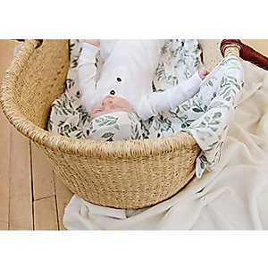 Large Premium Knit Baby Swaddle Receiving Blanket"Fern" by Copper Pearl