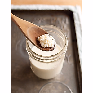 Mason Jars 32 oz Jars with Extra Wide Mouth Lids - Set of 2 Glass Storage Jars With Lids, BPA Free and Food Safe, Yogurt Jars With Lids, (2 Black Dome Plastic Lids)