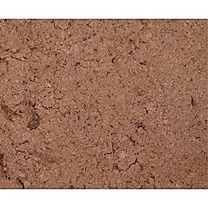 Wysong Epigen Turkey Canine/Feline Canned Formula Dog/Cat/Ferret Food, 12.9 Ounce Can