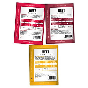 Beet Seeds for Planting Home Garden - 5 Variety Pack Detroit Dark Red, Golden Detroit, Early Wonder, Cylindria and Chioggia Great for Spring, Summer, Fall, Heirloom Veggie Seeds by Gardeners Basics