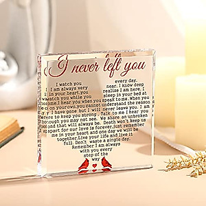 Red Cardinal Acrylic Sympathy Gifts I Never Left You Memorial Bereavement Gifts with Remembrance Condolence Gift for Loss of Loved One Loss of Father Loss of Mother Grieving Gifts Keepsake Paperweigh