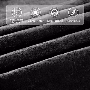 Allewie Queen Bed Frame/Velvet Upholstered Bed Frame with Vertical Channel Tufted Headboard/Strong Wooden Slats/Platform Bed Frame/Mattress Foundation/Box Spring Optional/Easy Assembly/Black…