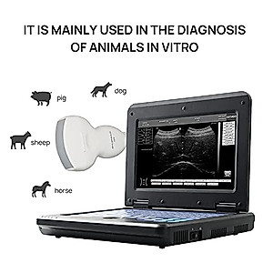Portable Vet Veterinary B-Ultrasound Scanner，for Pregnancy，with Convex Probe for Horse,Goat,Cow,Sheep and Pig, CMS600P2 Vet CONTEC(Convex Probe)