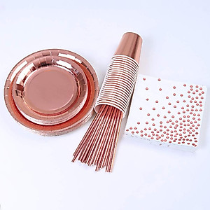 Rose Gold Birthday Party Favors for Women Rose Gold Plates and Napkins Party Supplies,Disposable Paper Plates and Cups Set for First Day of School,Bridal Shower,Baby Showers,Christmas, Serves 20