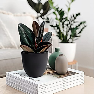 Giraffe Creation Plant Pots 7/6/5.5/5/4.5/4 inch, 6 Pack Flower Pots Outdoor Indoor, Planters with Drainage Hole and Tray, Black