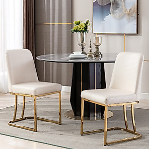 Wahson Set of 2 Faux Leather Upholstered with Woven Detail Dining Room Chairs, Classic Modern Fabric Chair for Dining Room, with Golden Metal Frame, Beige