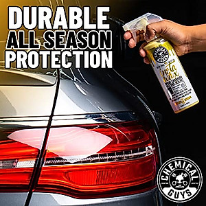 Chemical Guys WAC20964 InstaWax Liquid Carnauba Shine and Protection Spray, Safe for Cars, Trucks, SUVs, Motorcycles, RVs & More, 64 fl oz
