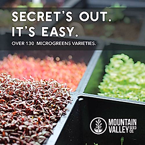 Speckled Pea Sprouting Seeds - 1 Lbs - Certified Organic, Non-GMO Green Pea Sprout Seeds - Sprouts & Microgreens