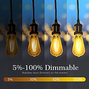 6-Pack 8W Dimmable Edison LED Light Bulbs 100W Equivalent, Vintage ST64/ST21 LED Filament Bulbs with 1000LM, 3000K Soft Warm White Lighting, E26 Medium Base Clear Glass for Home, Office, Restaurant