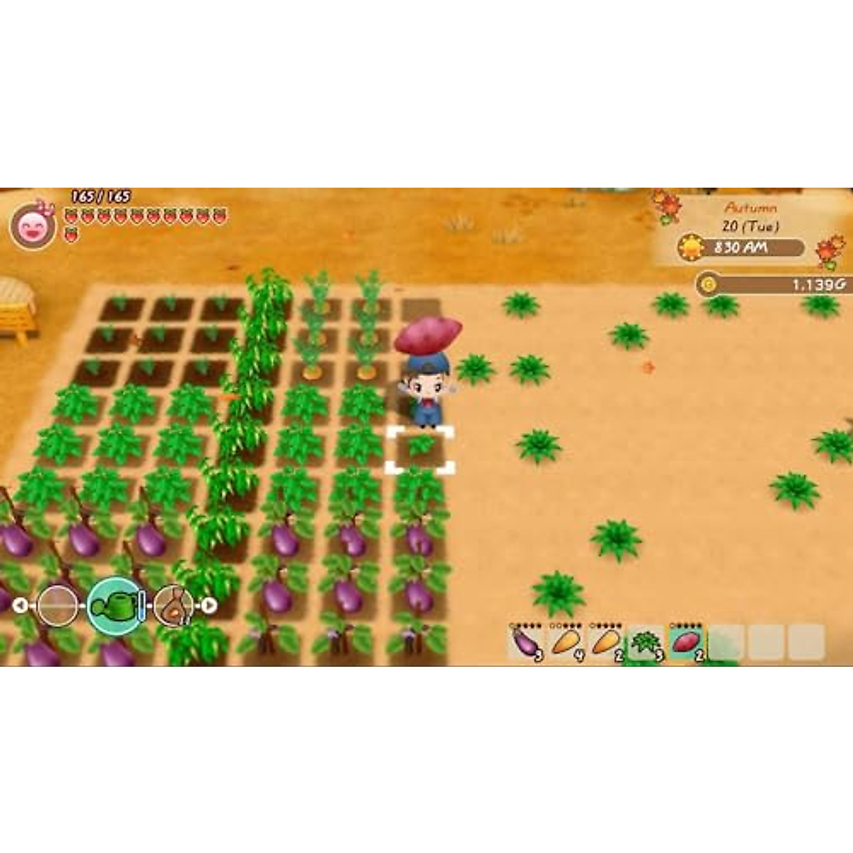 Story of Seasons: Friends Of Mineral Town (PS4)
