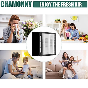 CHAMONNY IAF-H-100B Idylis Replacement Filter B, Compatible with Idylis AC-2125, AC-2126, IAP-10-150, IAP-10-125, IAP-10-050, IAPC-40-140 Air Purifiers, 2 H13 True HEPA Filters + 4 Pre-Filters