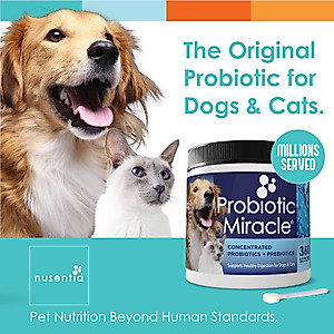 NUSENTIA Probiotic Miracle for Dogs and Cats (3 Bundle) Save $13. Eliminate Diarrhea, Constipation, Loose Stool, Yeast and More. Made in USA. GMP Certified