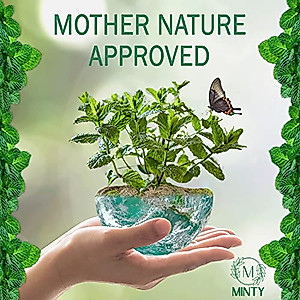 Minty Spider Repellent, Natural 5% Peppermint Oil Spray, Kills & Deters All Types of Spiders and Insects, Indoor and Outdoor Use, 128 fl oz Gallon