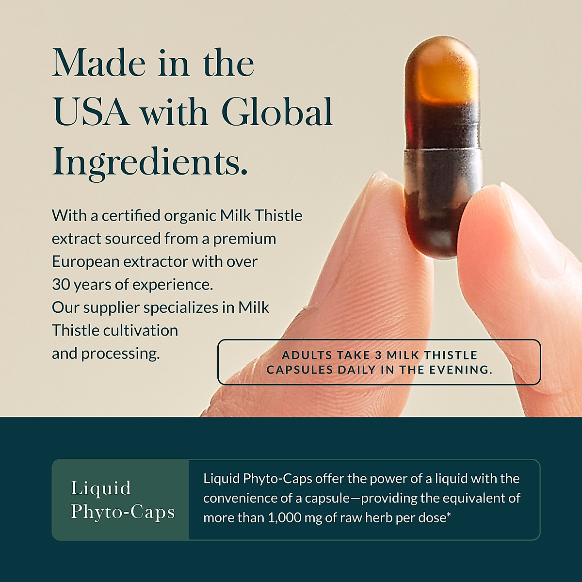 Gaia Herbs Milk Thistle - Liver Supplement & Cleanse Support for Maintaining Healthy Liver Function* - 60 Vegan Capsules (20-Day Supply)