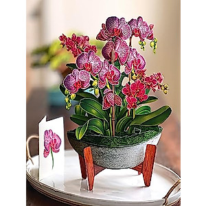 Freshcut Paper Pop Up Cards, Orchid Oasis, 12 Inch Life Sized Forever Flower Bouquet 3D Popup Greeting Cards, Birthday Gift Cards, Gifts for Her with Note Card & Envelope