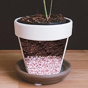 Bubblefast! Brand 7 cu ft (45 gallons) Pink Anti Static Packing Peanuts Popcorn - (Two 3.5 cu ft Bags)