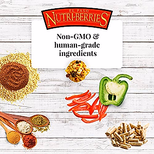 LAFEBER'S El Paso Nutri-Berries Pet Bird Food, Made with Non-GMO and Human-Grade Ingredients, for Parrots, 3 lb