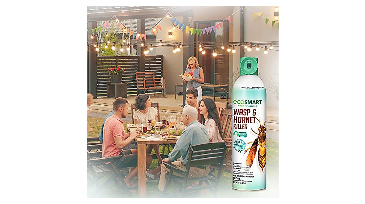 ecoSMART 33510 Wasp & Hornet Killer, 9-oz. - Quantity 1 — 🛍️ The Retail ...