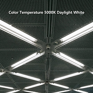 Xapolu 2FT T8 T10 T12 LED Tube Lights 12W 5000K, 24 Inch 1680Lm Light Bulbs, F17T8/F24T8 Fluorescent Light Bulbs Replacement, Ballast Compatible, Dual-Ended, Frosted Lens, UL Listed