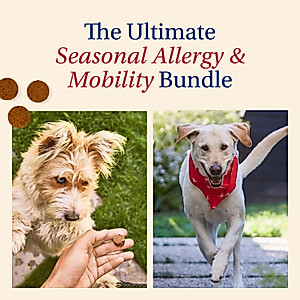 PetLab Co. – Mobility & Gut Health Bundle: Dog Probiotic for Gut Health, Healthy Yeast Production, & Seasonal Allergies 30 Count & Joint Supplement for Dogs Supporting Mobility & Occasional Stiffness