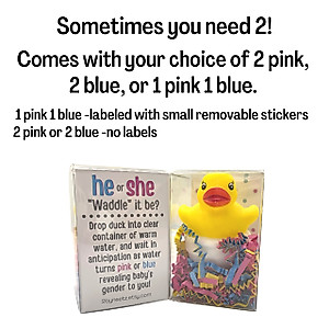 'Waddle It Be?' Gender Reveal Fizz Set of 2 | Water Color Change to Pink or Blue (Rubber Duck)