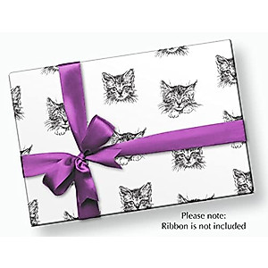 Stesha Party Black Kitty Cat Wrapping Paper Kitten Animal Gift Wrap 30 x 20 Inch (3 Sheets)