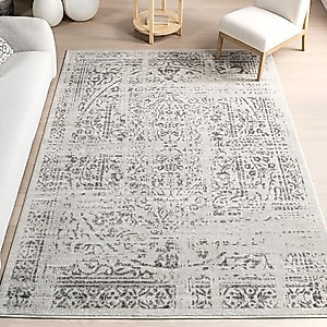nuLOOM Arlena Vintage Traditional Area Rug - 5x8 Area Rug Modern/Contemporary Grey/Ivory Rugs for Living Room Bedroom Dining Room Kitchen
