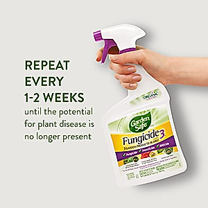 Garden Safe 32 oz. Fungicide Ready to Use
