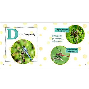 ABC Bug Book for Kids