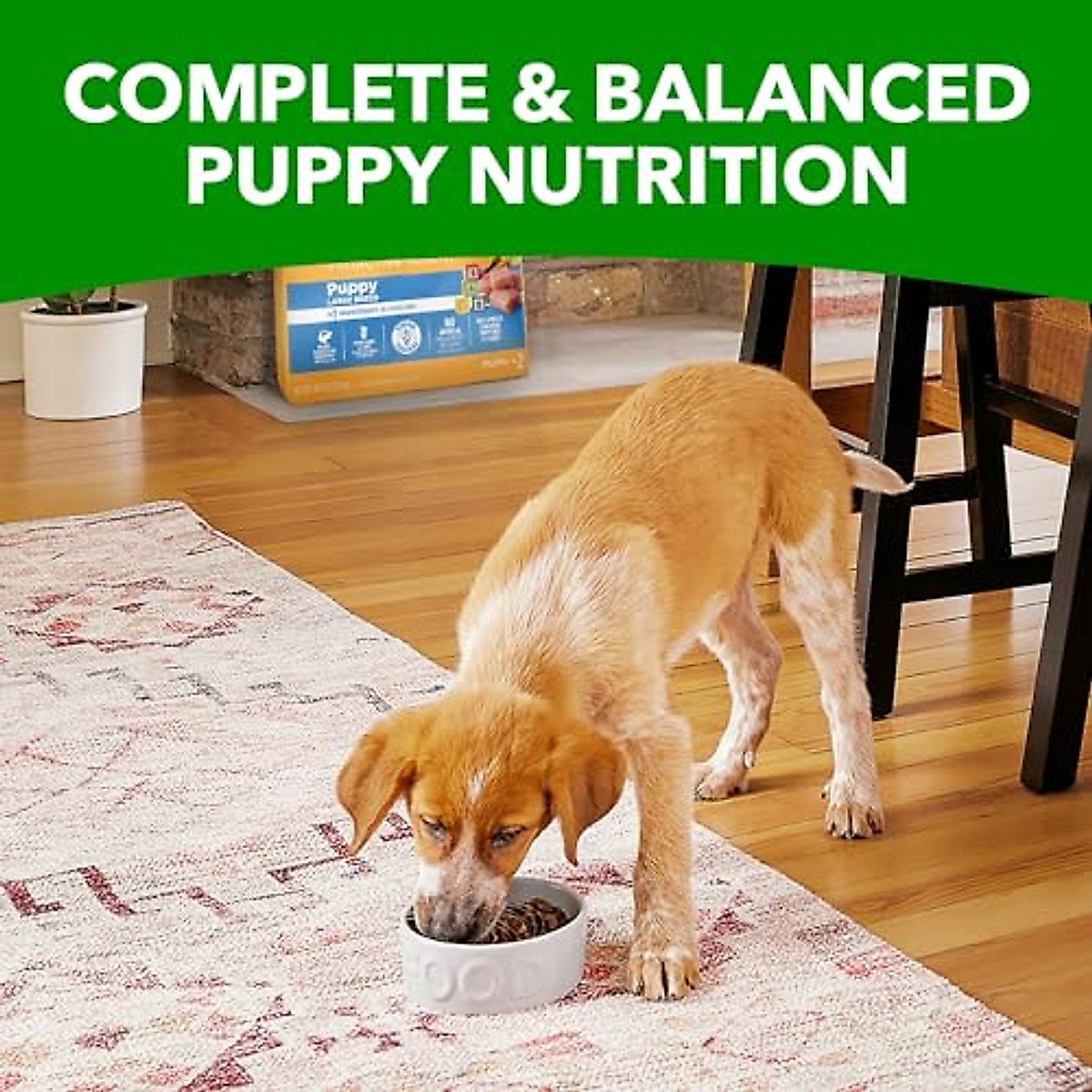 IAMS Smart Puppy Large Breed Dry Dog Food with Real Chicken, 15 lb. Bag