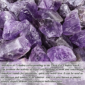 Top Plaza Bulk Amethyst Healing Crystals Rough Stones - Large 1" Natural Raw Stones Crystal for Reiki Healing, Wicca, witchcraft, Tumbling, Cabbing, Fountain Rocks, Decoration, Polishing 0.5lb